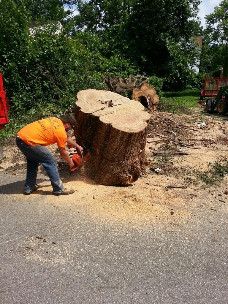 A.G.S. Landscaping & Tree Removal - Landscaper in Pittsburgh, PA ...
