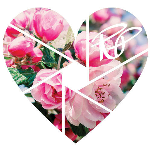 I photograph people, landscape, still life, action sports and anything ...